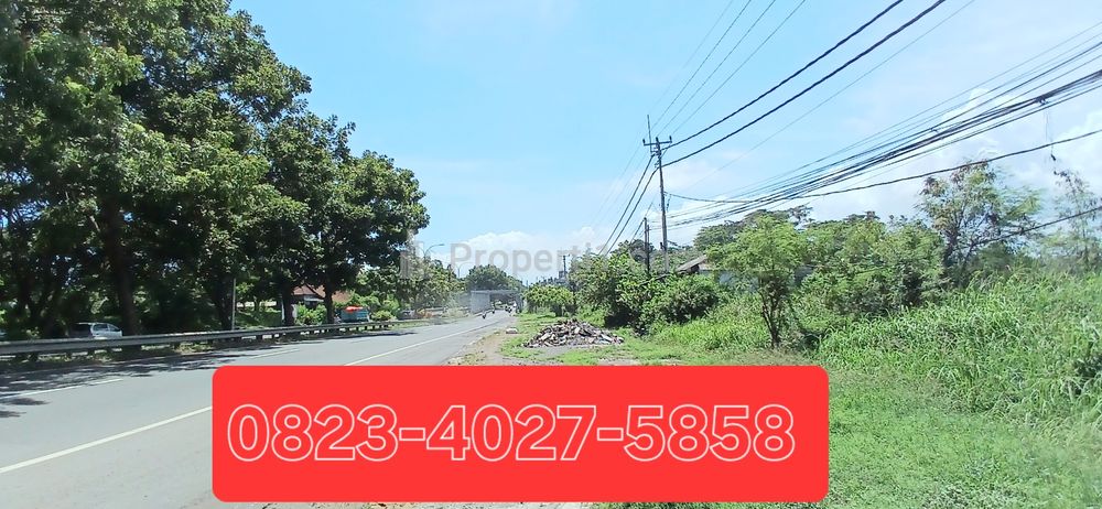 Disewakan Tanah Luas 1,2 Hektar di Jl Ida Bagus Mantra Saba Gianyar ...