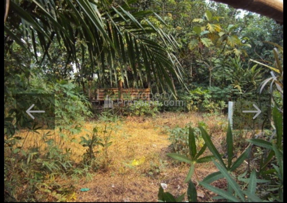 Jual Tanah di Kubu Raya Butuh Uang Murah Tanpa Perantara Pemilik Langsung