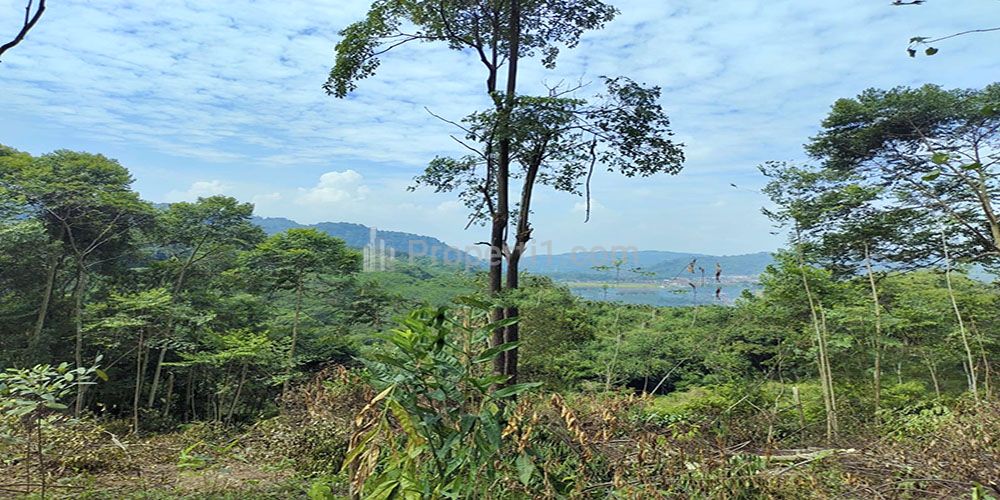 Jual Tanah View Gunung dan Lembah untuk Resort Agro Wisata Perkebunan ...