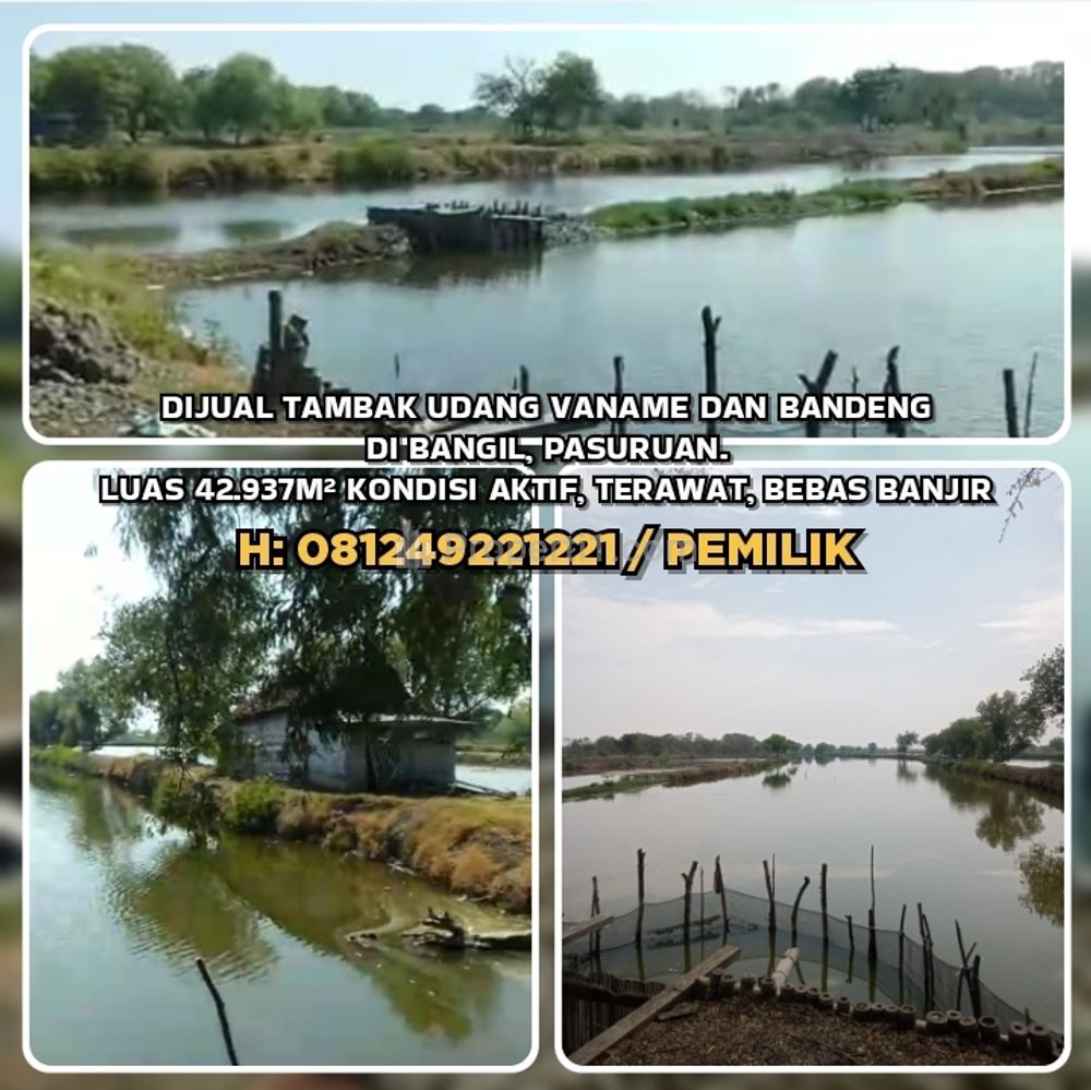 Land for Sale Cheap in Bangil Pasuruan, in the Form of Vannamei and ...